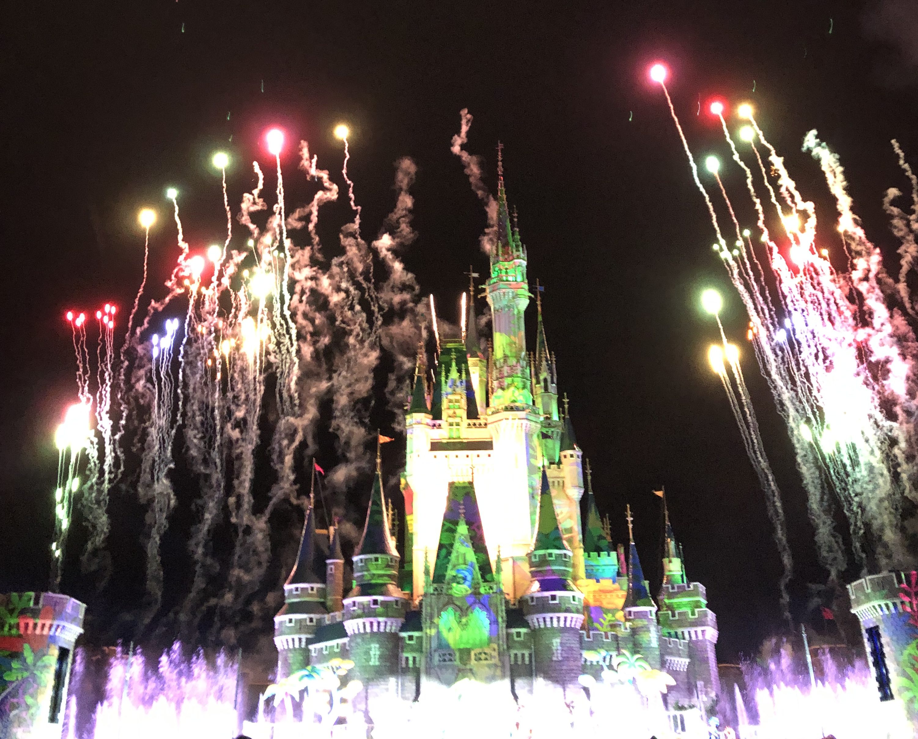 TDL.TDS.TDR.USJ Disney Store│D-Tips